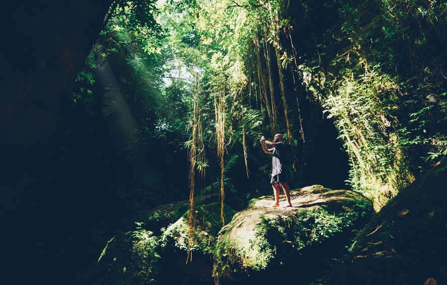 4 Ways To Save the Environment and Look Fabulous! - Beauty and the Mist
