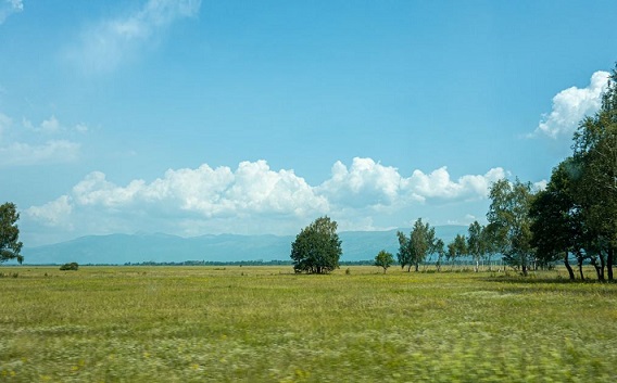 5 Benefits of Using a Land Clearing Service - Beauty and the Mist