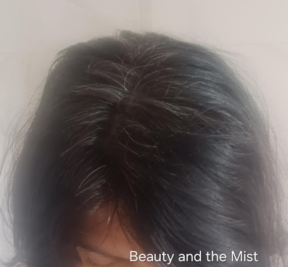Why Does Hair Turn White And Can You Prevent or Reverse It? - Beauty ...
